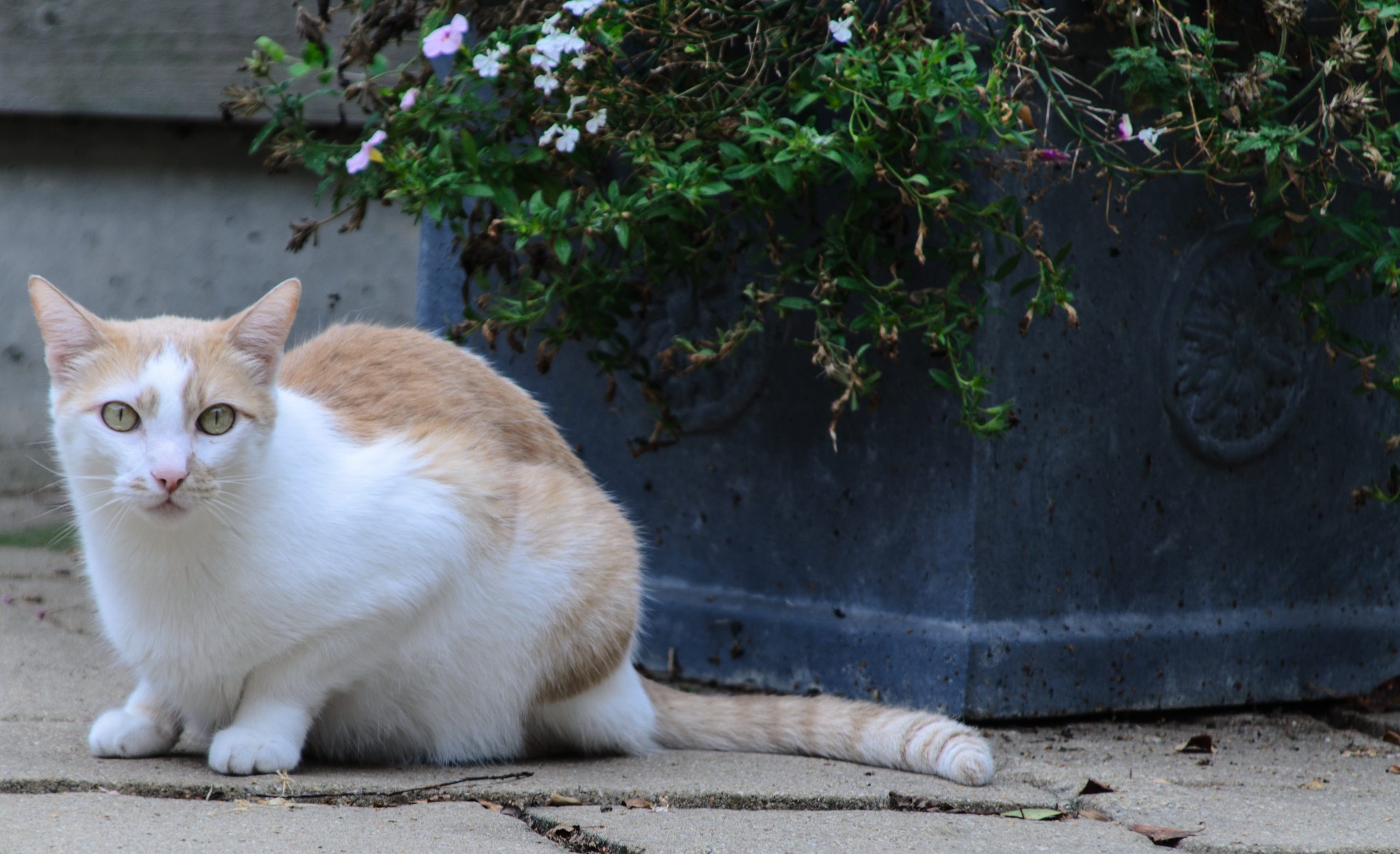 Ewoud Budding – Just another WordPress site